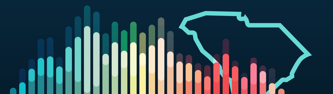 Social Determinants of Health in South Carolina | MUSC Hollings Cancer ...