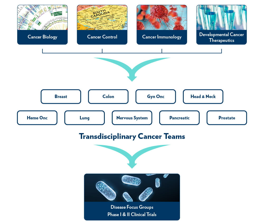 Transdisciplinary Cancer Teams (TCTs) | MUSC Hollings Cancer Center