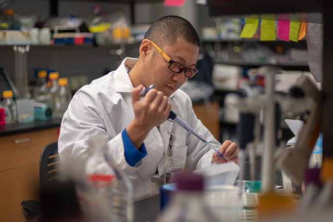 Postdoctoral and Clinical Fellowship Program | MUSC Hollings Cancer Center