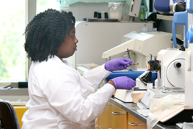 Research | MUSC Hollings Cancer Center